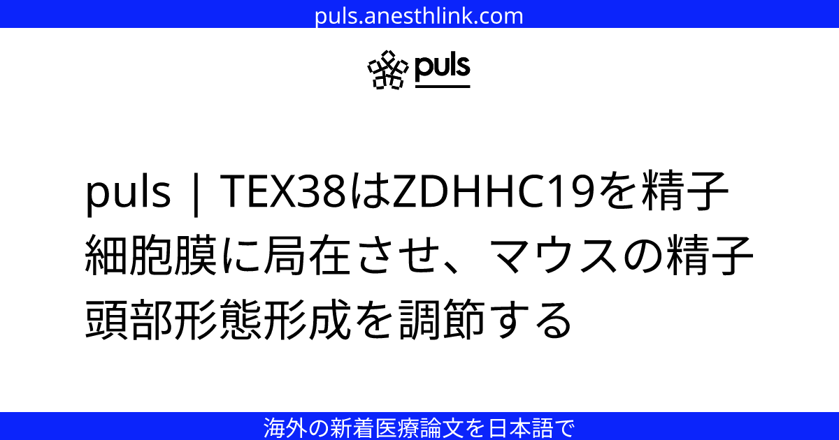 puls | TEX38はZDHHC19を精子細胞膜に局在させ、マウスの精子頭部形態形成を調節する